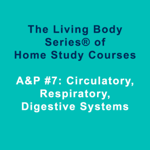 A&P #7: Circulatory, Respiratory, Digestive Systems | Living Body Series